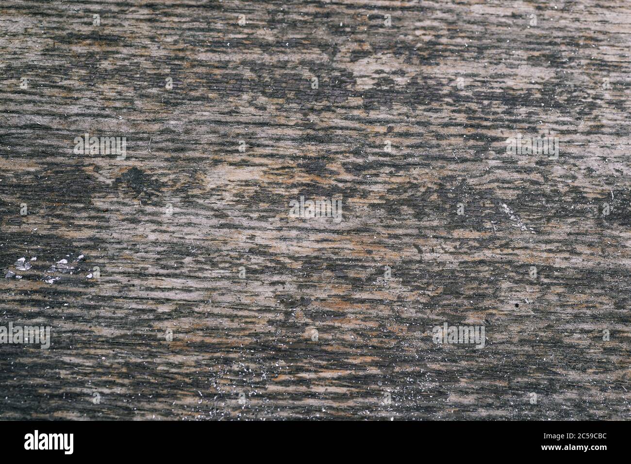 Old tree texture. A wooden table with rough edges and scratches Stock ...