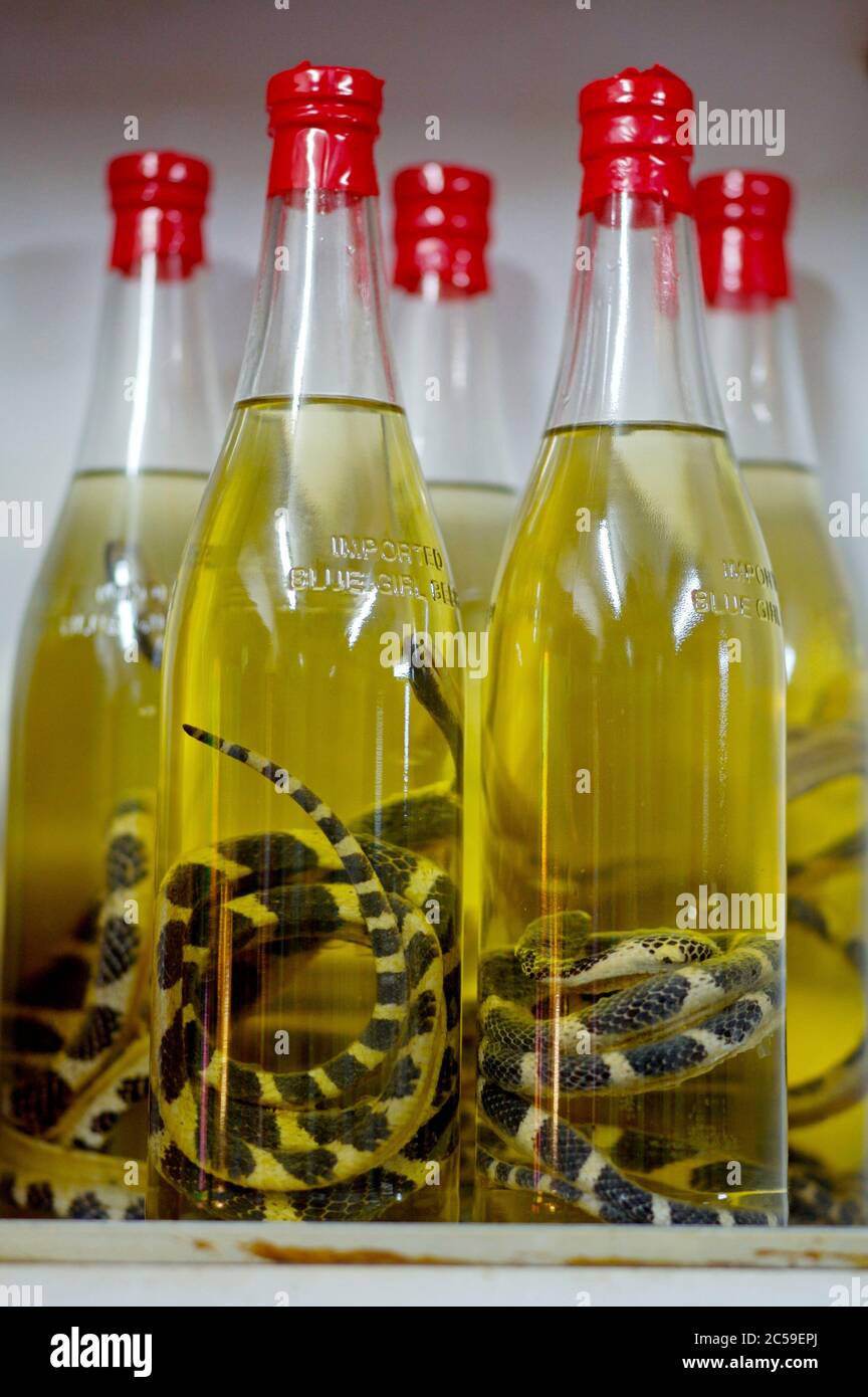 Wind snake hi-res stock photography and images - Alamy