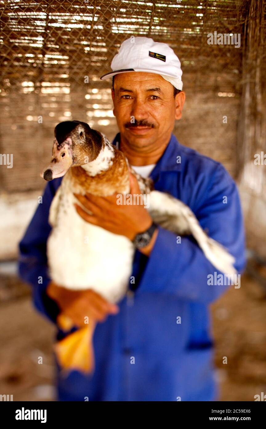 Marrakech le bled hi-res stock photography and images - Alamy