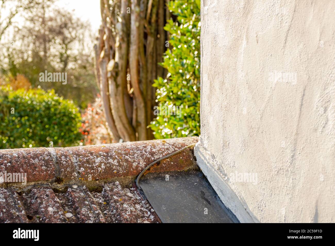 Shallow focus view of a rear garden showing shrubs and a recently cut ...