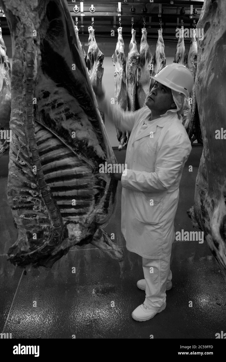 Abattoir Black and White Stock Photos & Images - Alamy