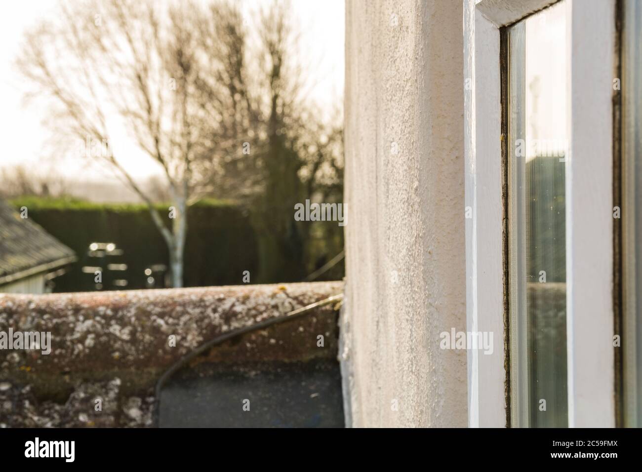 Shallow focus view of a rear garden showing shrubs and a recently cut ...