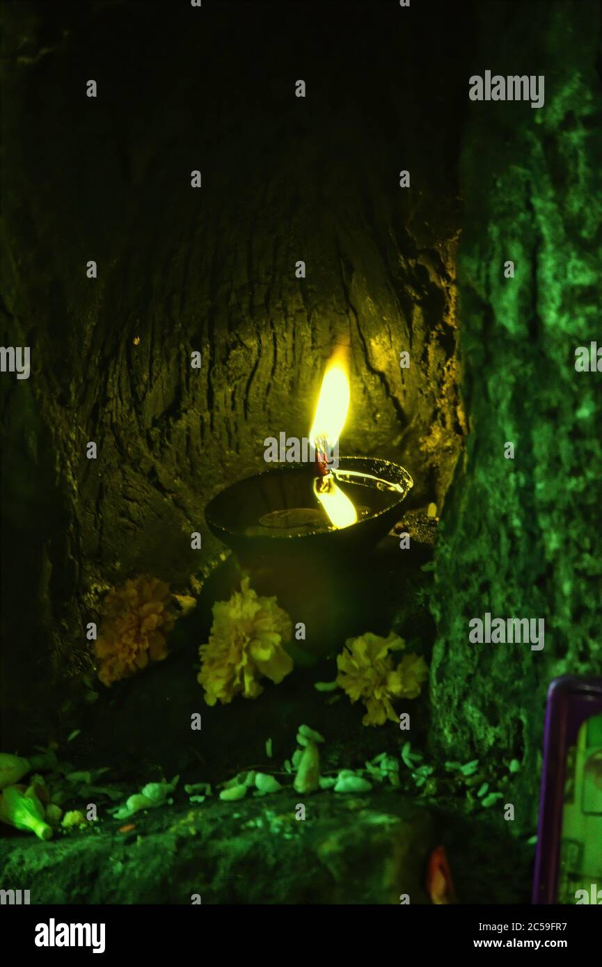 A diya or candle lit on a root of a tree in front of a temple in ...
