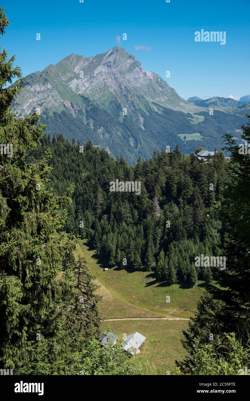 France, Savoie, massif of the Bauges regional natural park, Ugine ...