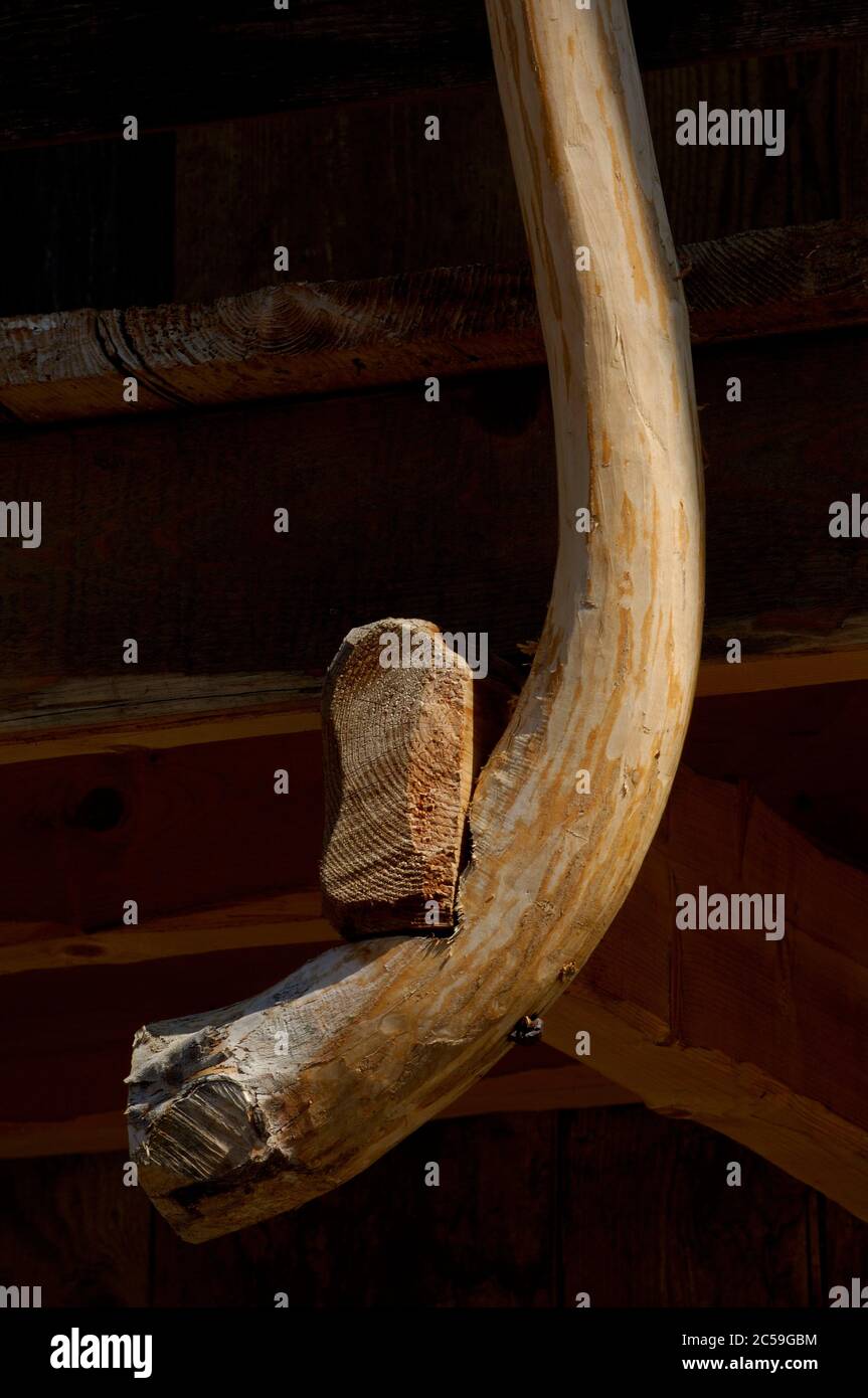 Curved roof supports hi-res stock photography and images - Alamy