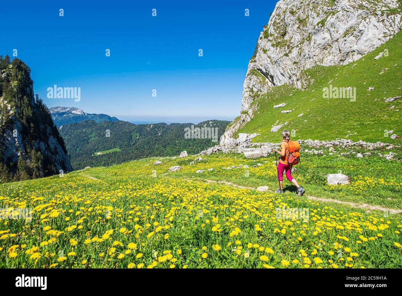 France, Isere, Chartreuse massif, hike to the Grand Som (summit with an ...