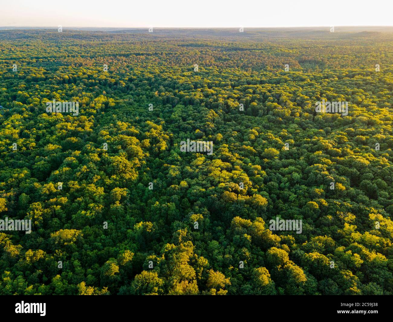 Fontainebleau aerial hi-res stock photography and images - Alamy