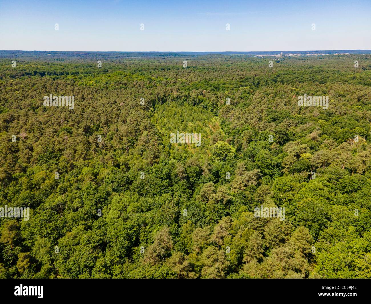 France, Seine et Marne, the forest of Fontainebleau (aerial view Stock ...