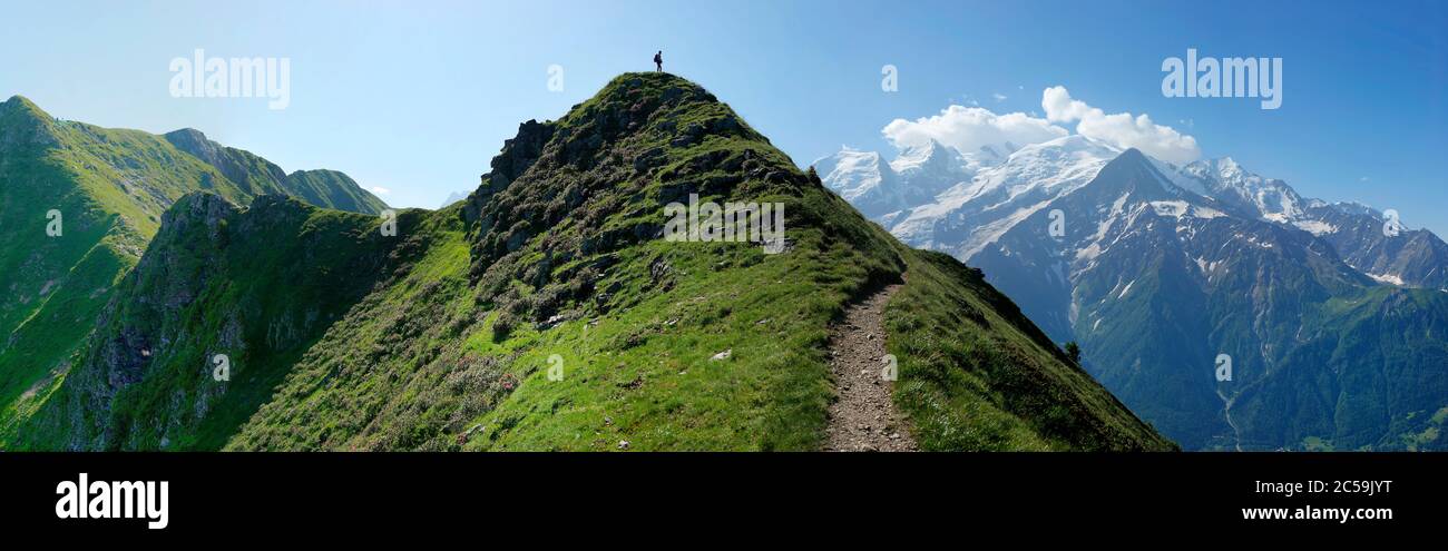 France, Haute-Savoie (74), Chamonix, les Houches, massif des aiguilles ...