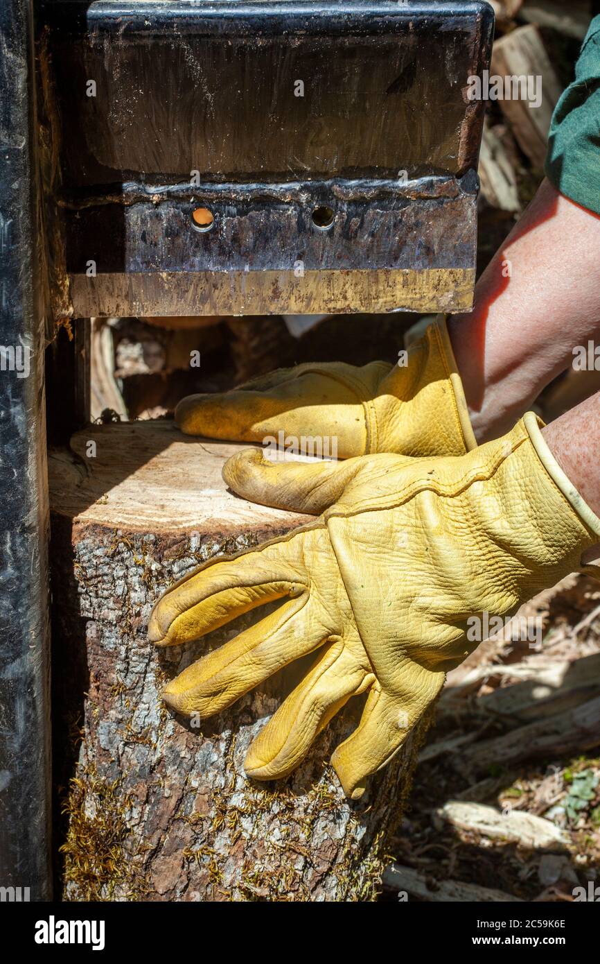 Setting up wood to split with a wood splitter for firewood Stock Photo ...