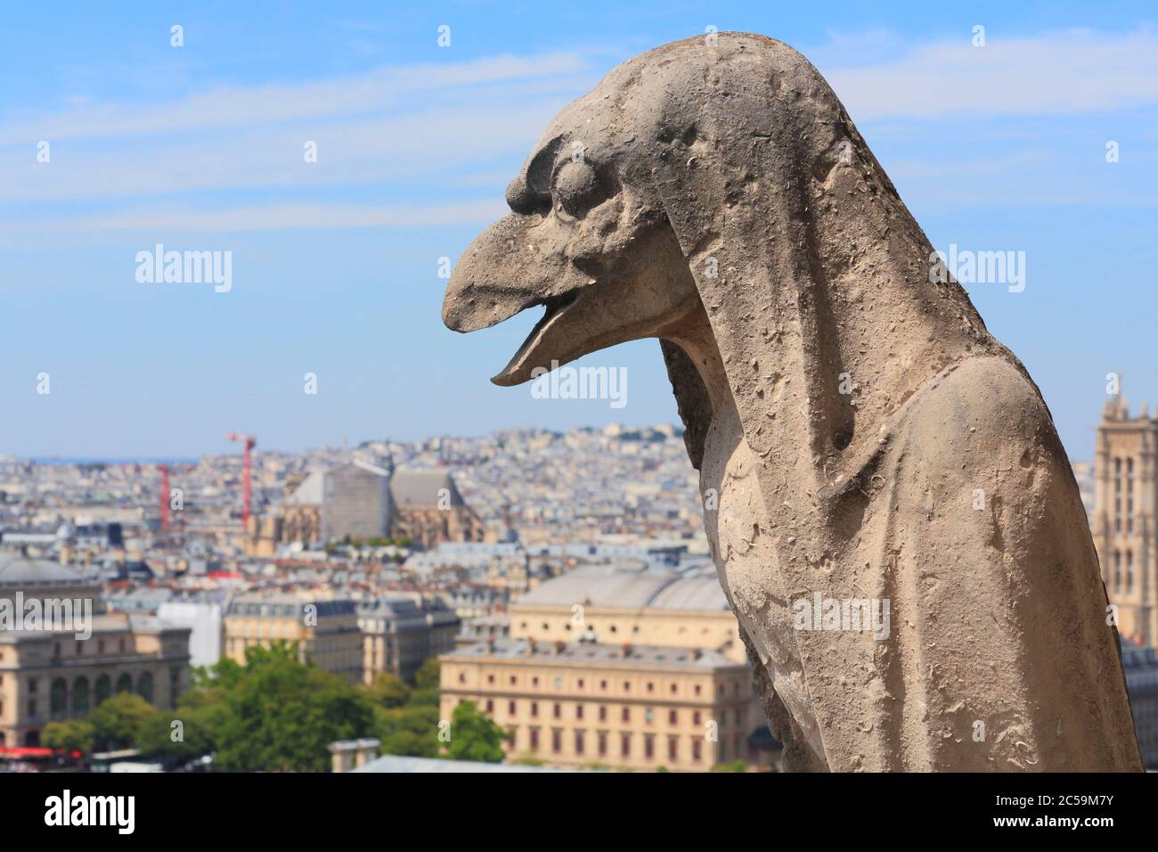 France, Paris, Notre-Dame de Paris cathedral, chimney of neo-gothic ...