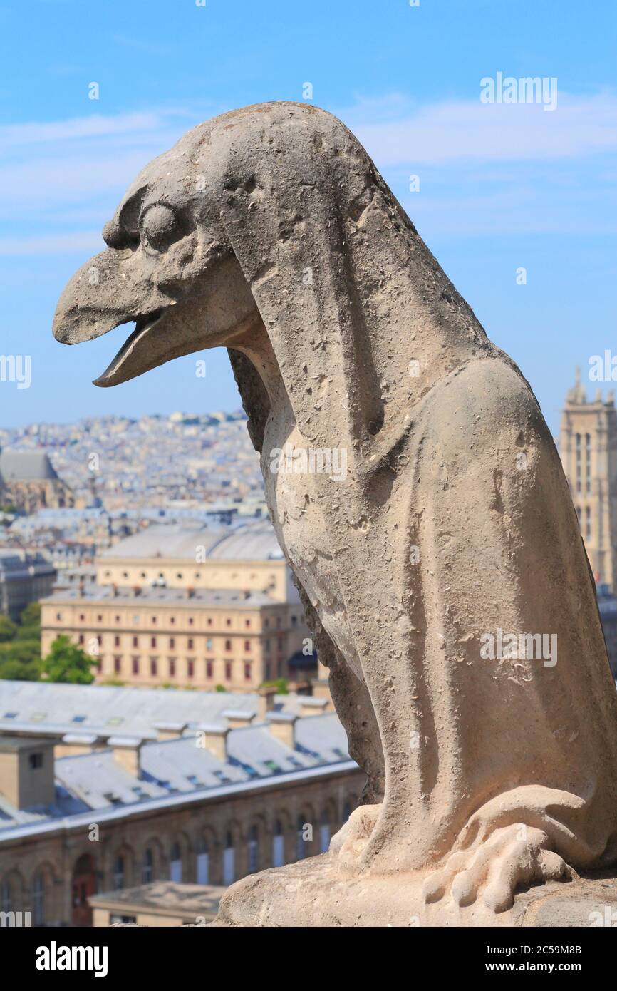 France, Paris, Notre-Dame de Paris cathedral, chimney of neo-gothic ...
