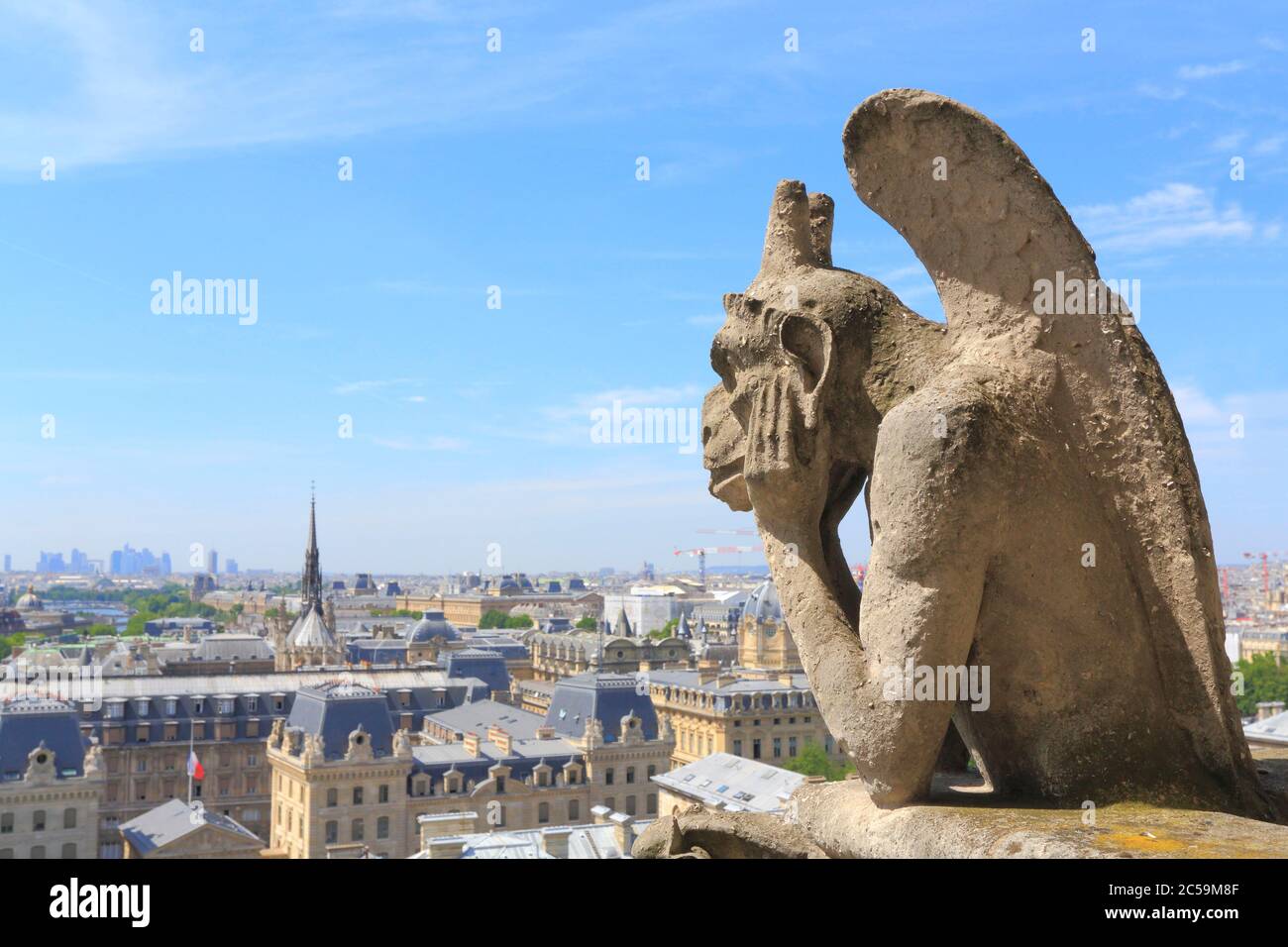 France, Paris, Notre-Dame de Paris cathedral, chimney in neo-gothic ...
