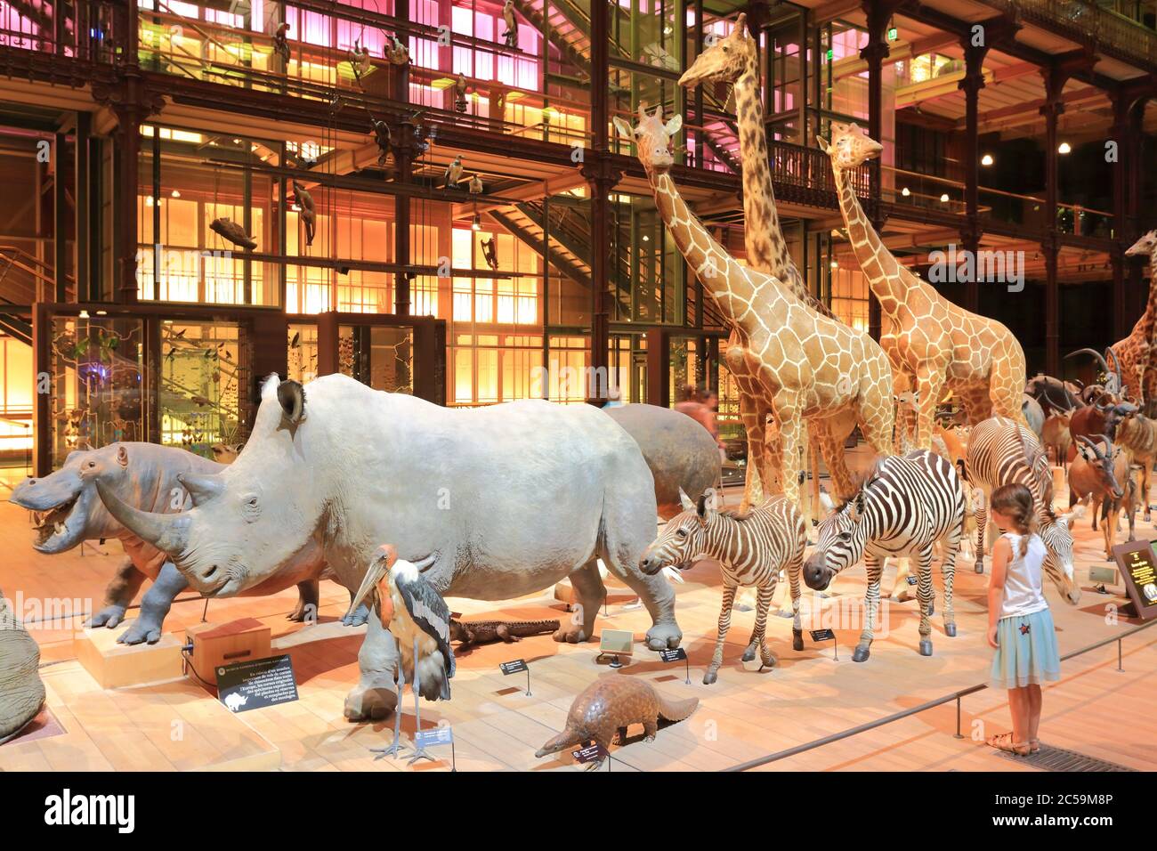 France, Paris, Garden plants, National Museum of Natural History (MNHN ...