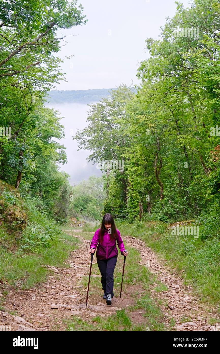 France, Cote d'Or, Val-Suzon, regional nature reserve of Val-Suzon ...