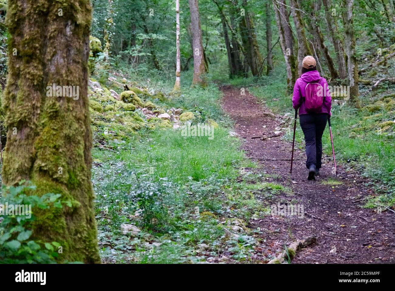France, Cote d'Or, Val-Suzon, regional nature reserve of Val-Suzon ...