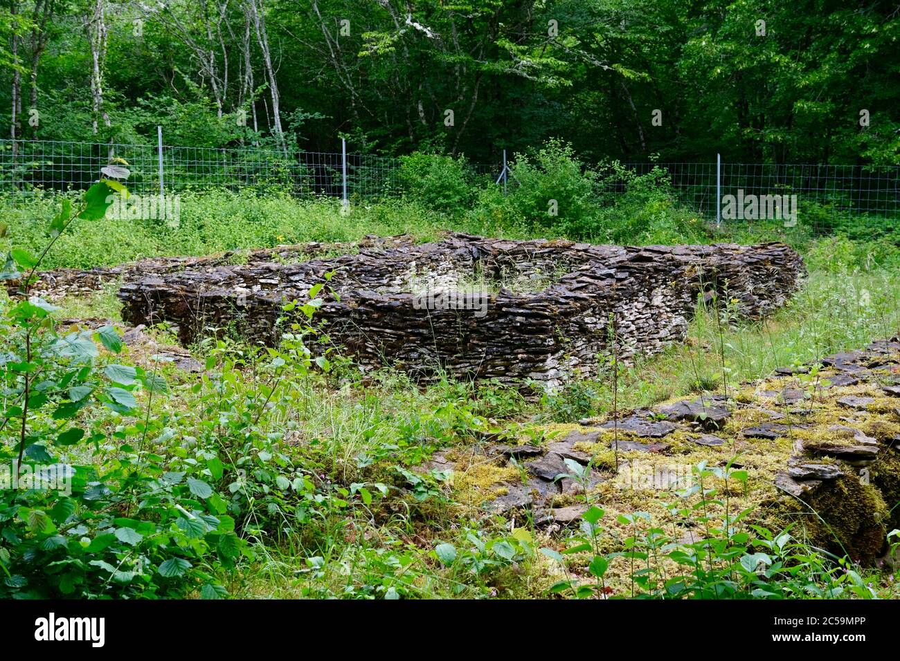 France, Cote d'Or, Val-Suzon, regional nature reserve of Val-Suzon ...