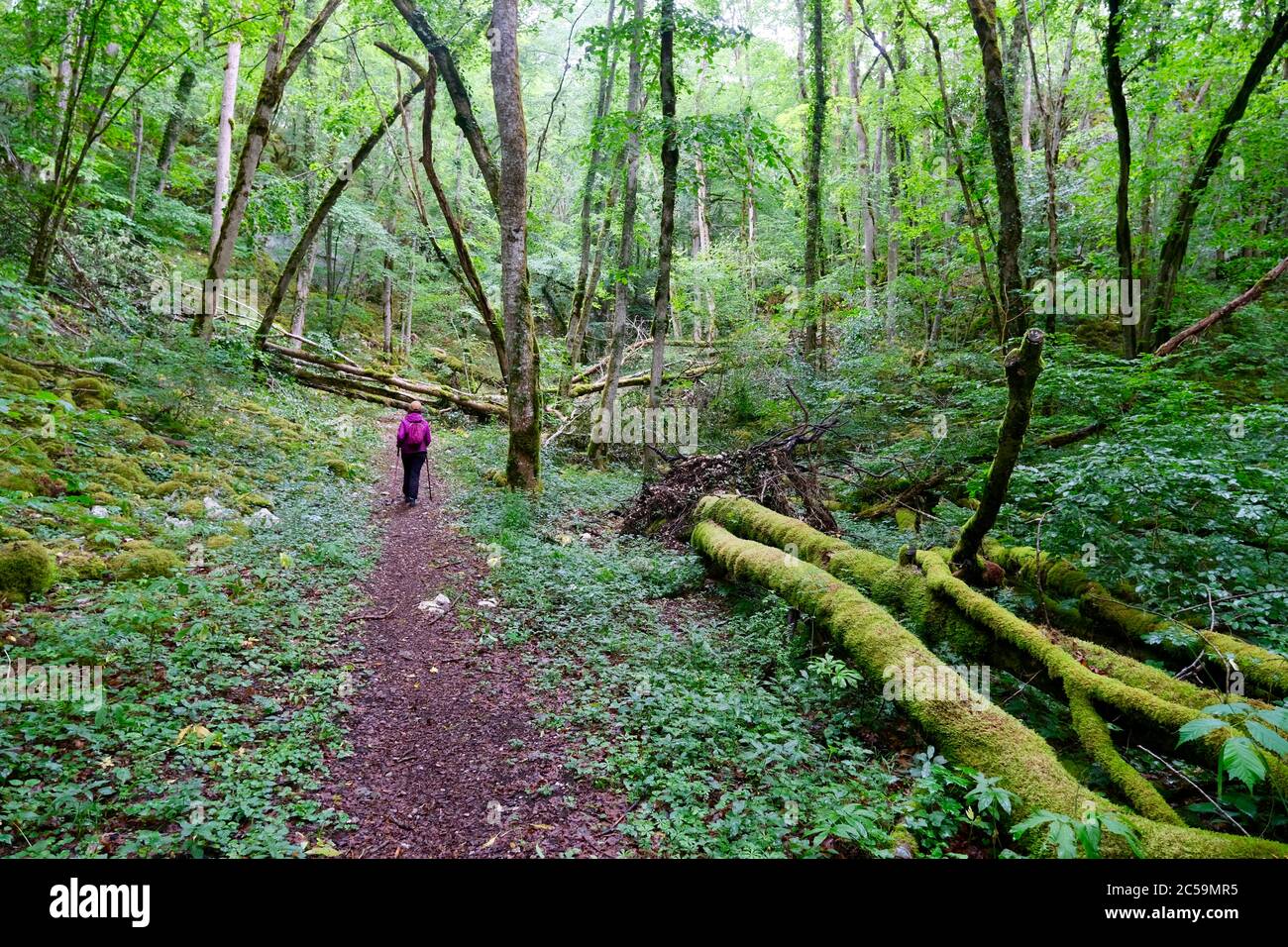 France, Cote d'Or, Val-Suzon, regional nature reserve of Val-Suzon ...