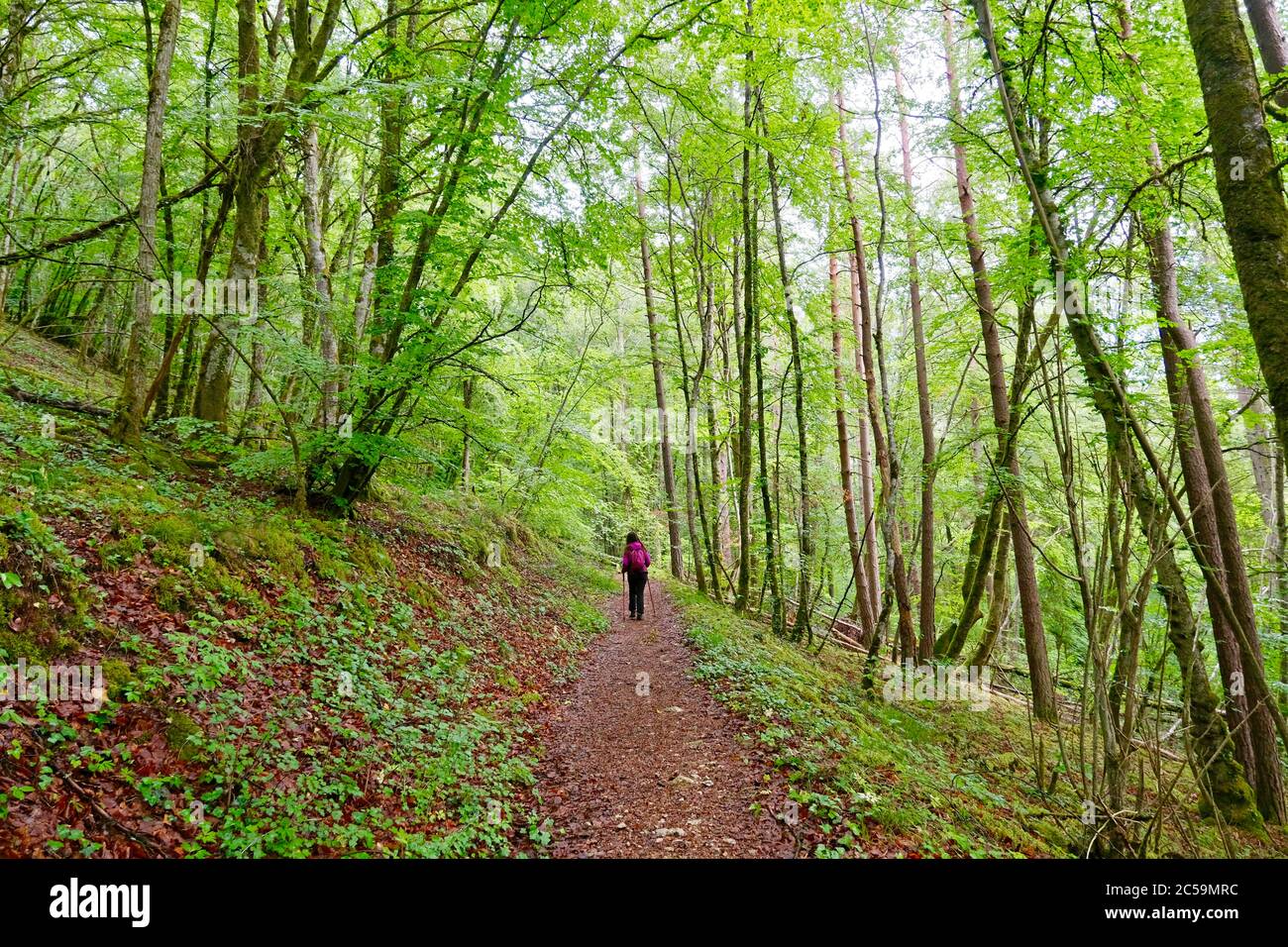 France, Cote d'Or, Val-Suzon, regional nature reserve of Val-Suzon ...