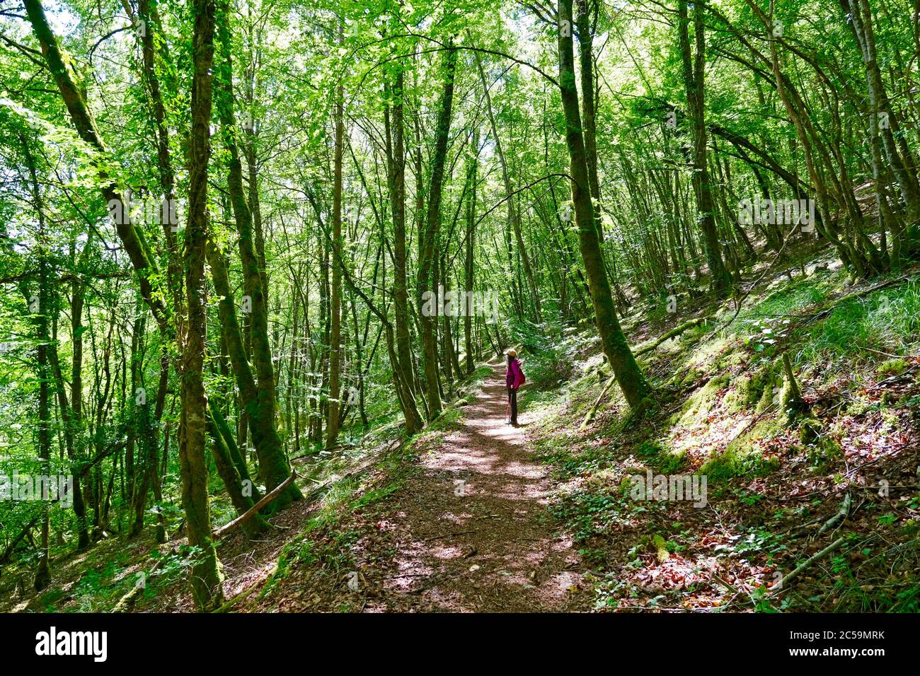 France, Cote d'Or, Val-Suzon, regional nature reserve of Val-Suzon ...