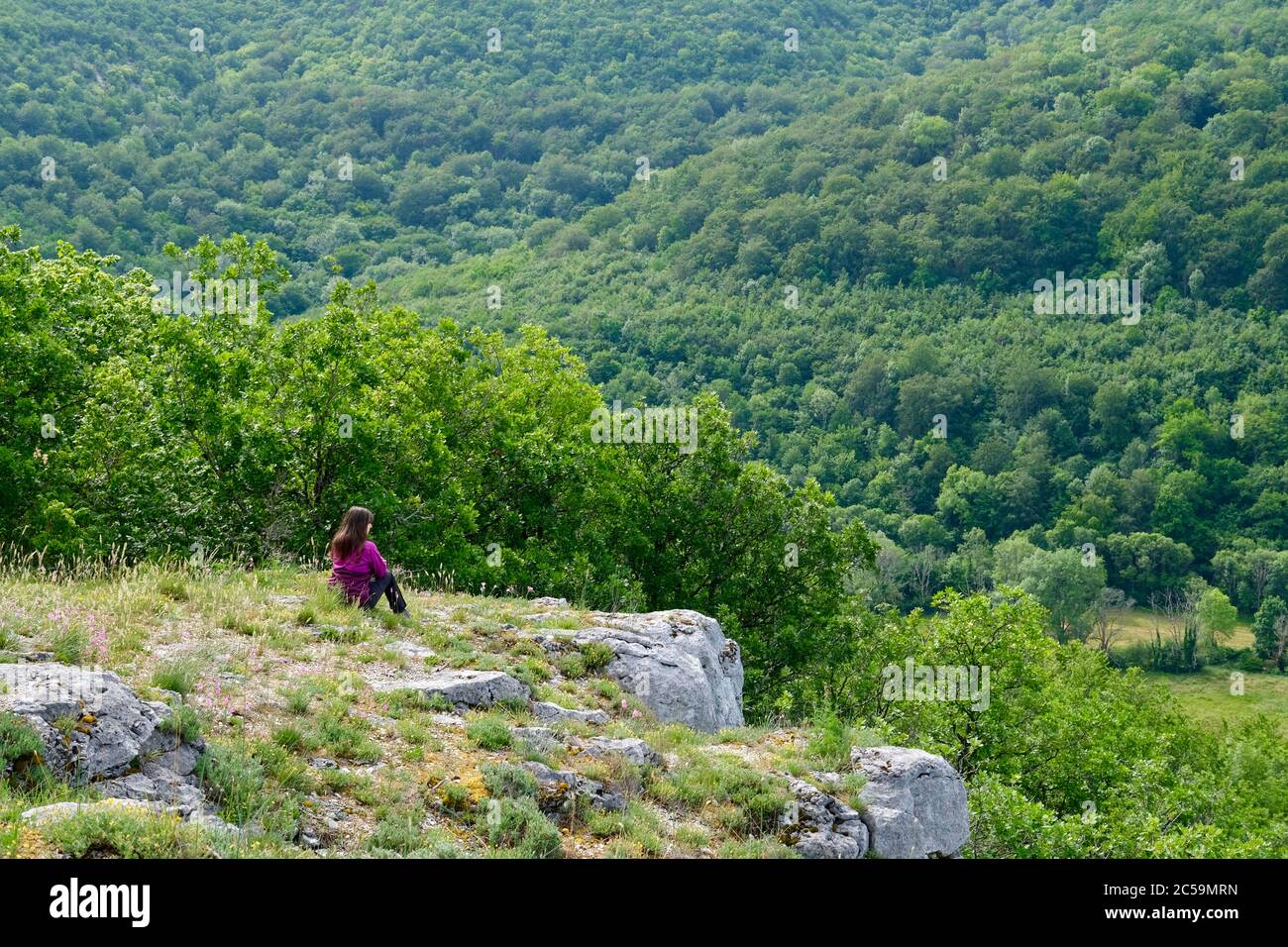 Forêt d'or hi-res stock photography and images - Alamy