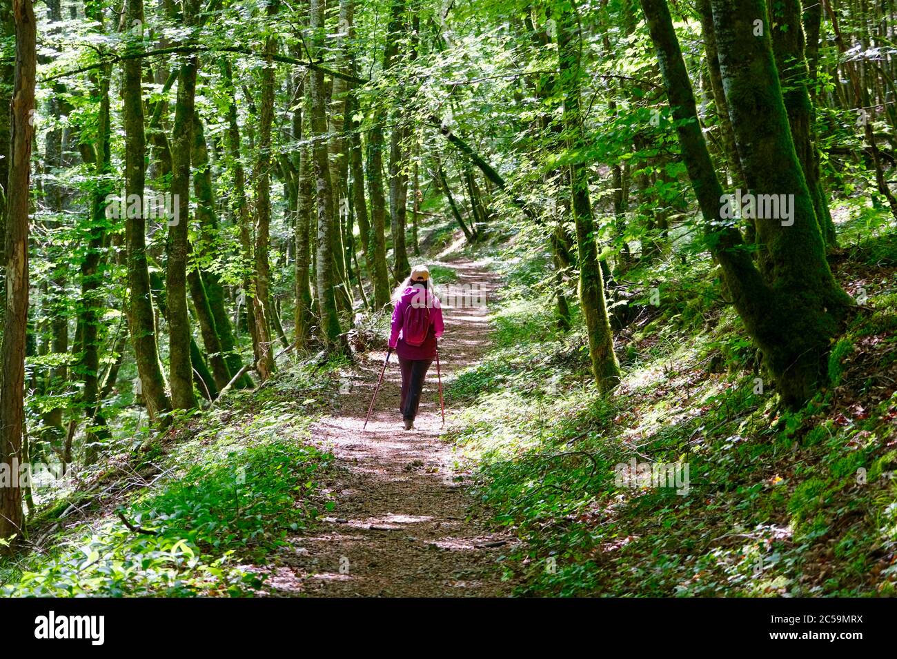 France, Cote d'Or, Val-Suzon, regional nature reserve of Val-Suzon ...