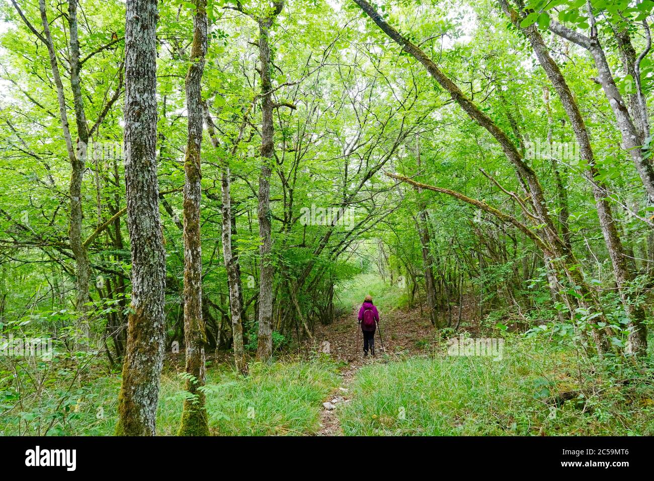 France, Cote d'Or, Val-Suzon, regional nature reserve of Val-Suzon ...