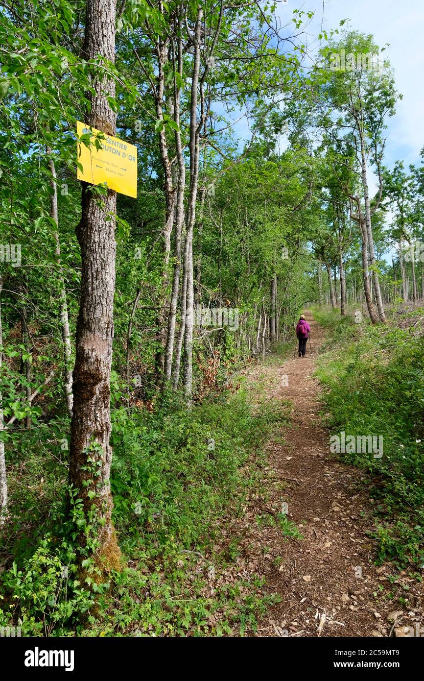 France, Cote d'Or, Val-Suzon, regional nature reserve of Val-Suzon ...