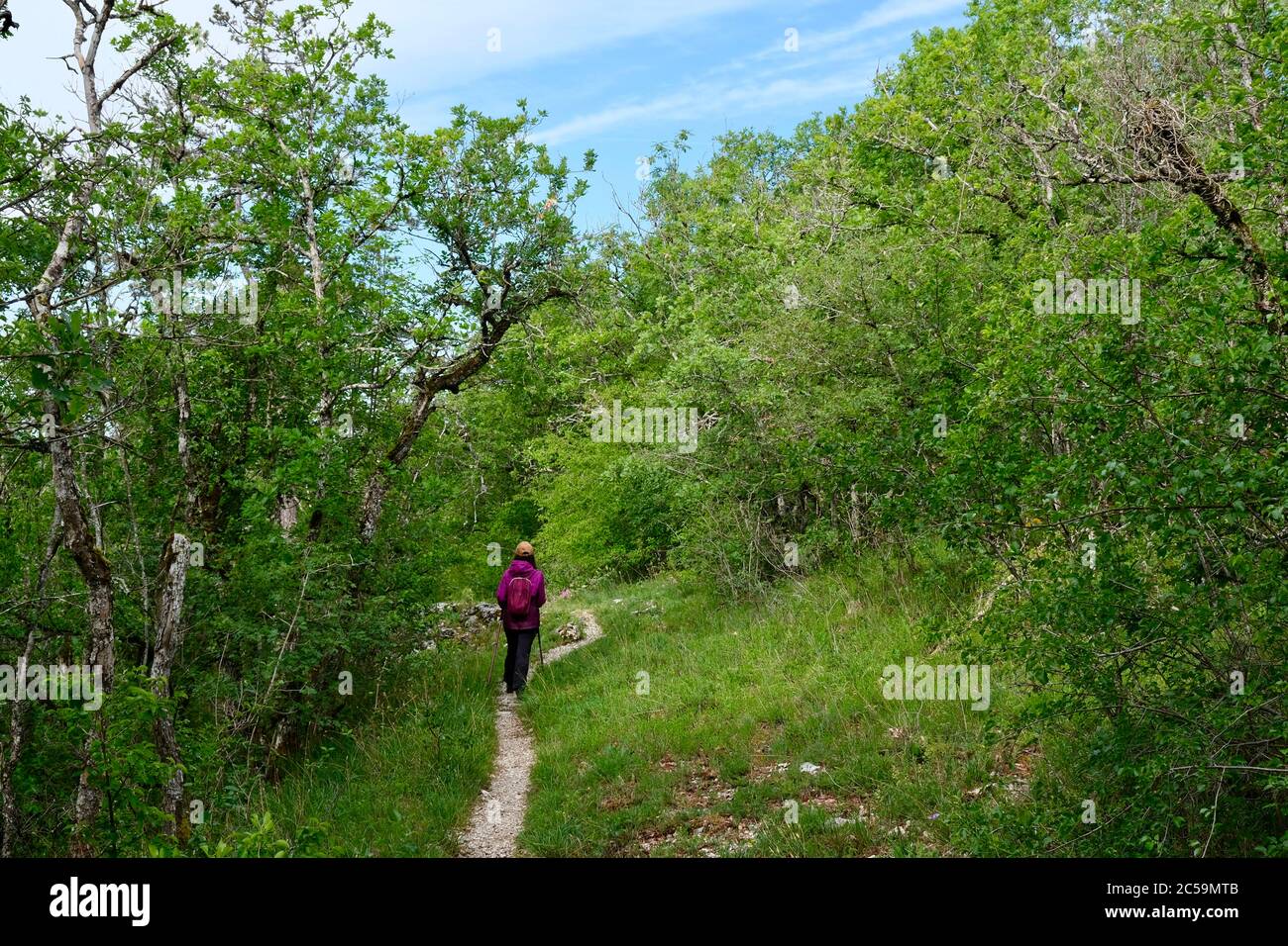 France, Cote d'Or, Val-Suzon, regional nature reserve of Val-Suzon ...