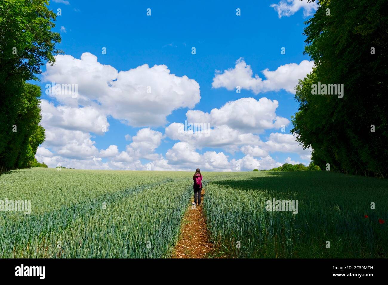 France, Cote d'Or, Val-Suzon, regional nature reserve of Val-Suzon ...
