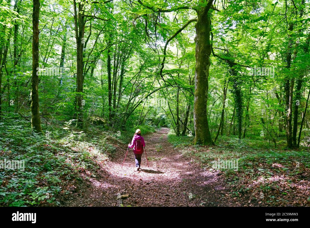France, Cote d'Or, Val-Suzon, regional nature reserve of Val-Suzon ...