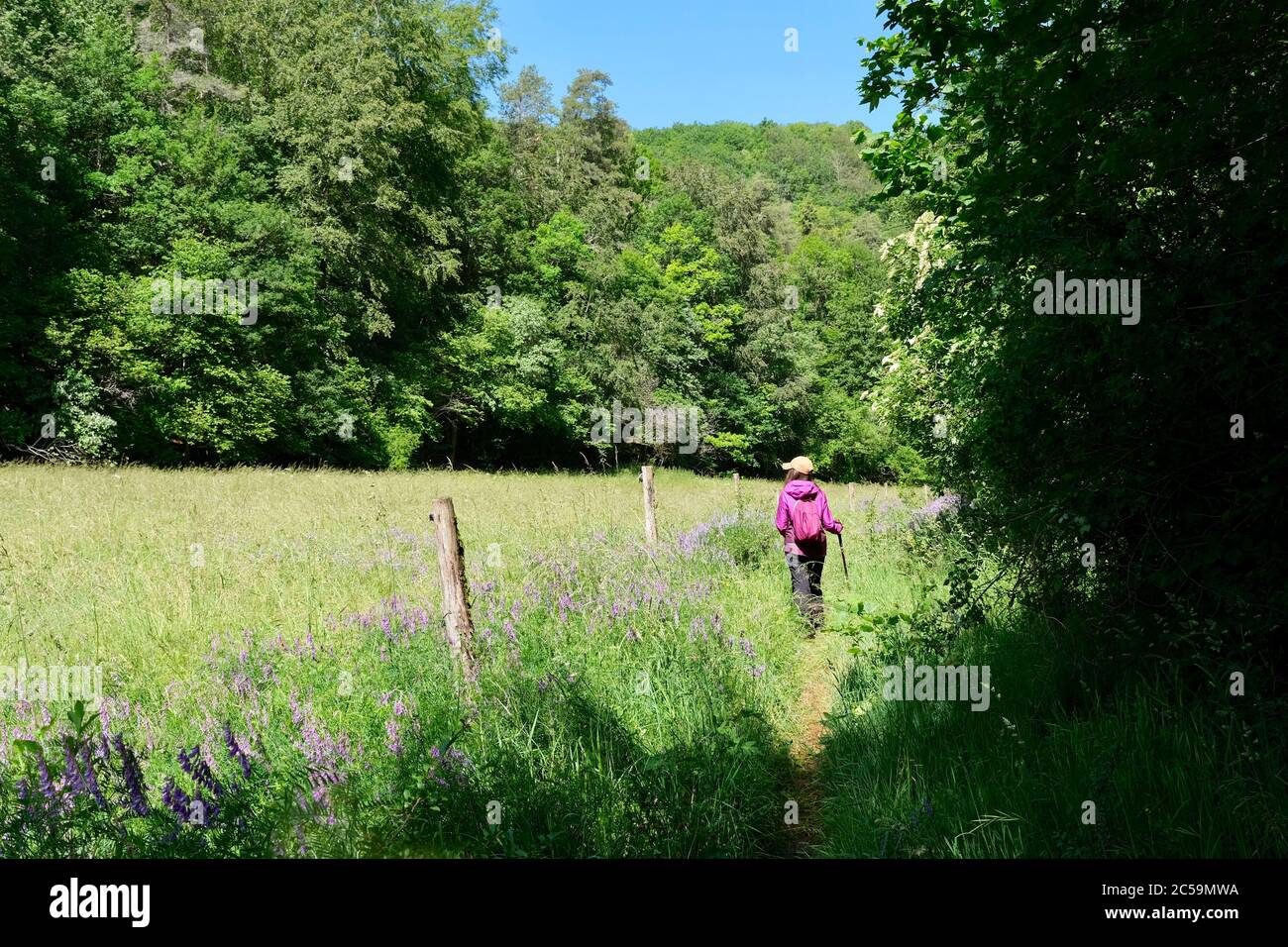 France, Cote d'Or, Val-Suzon, regional nature reserve of Val-Suzon ...