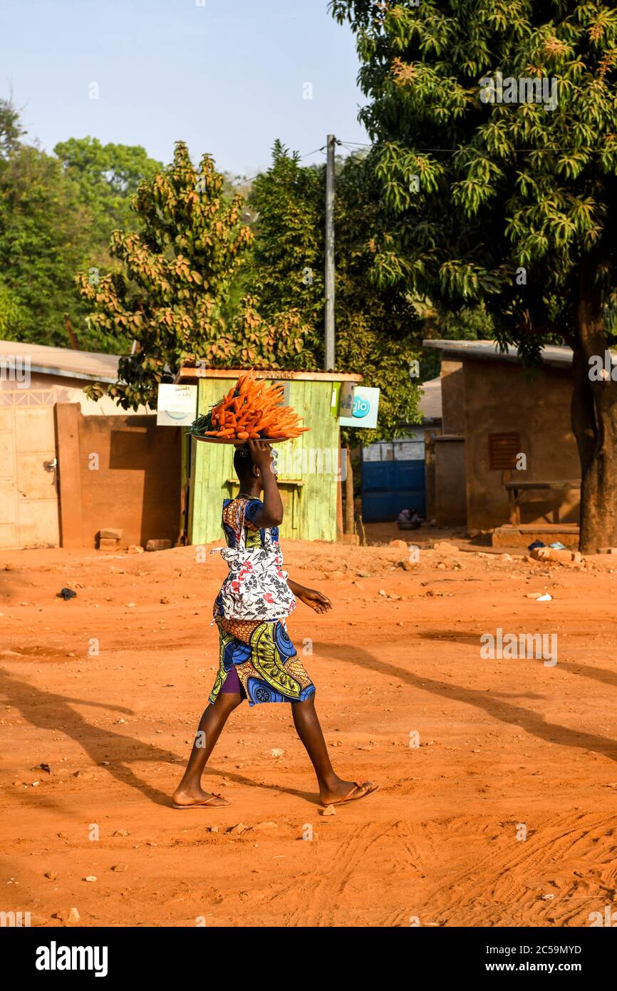 Benin forest hi-res stock photography and images - Alamy