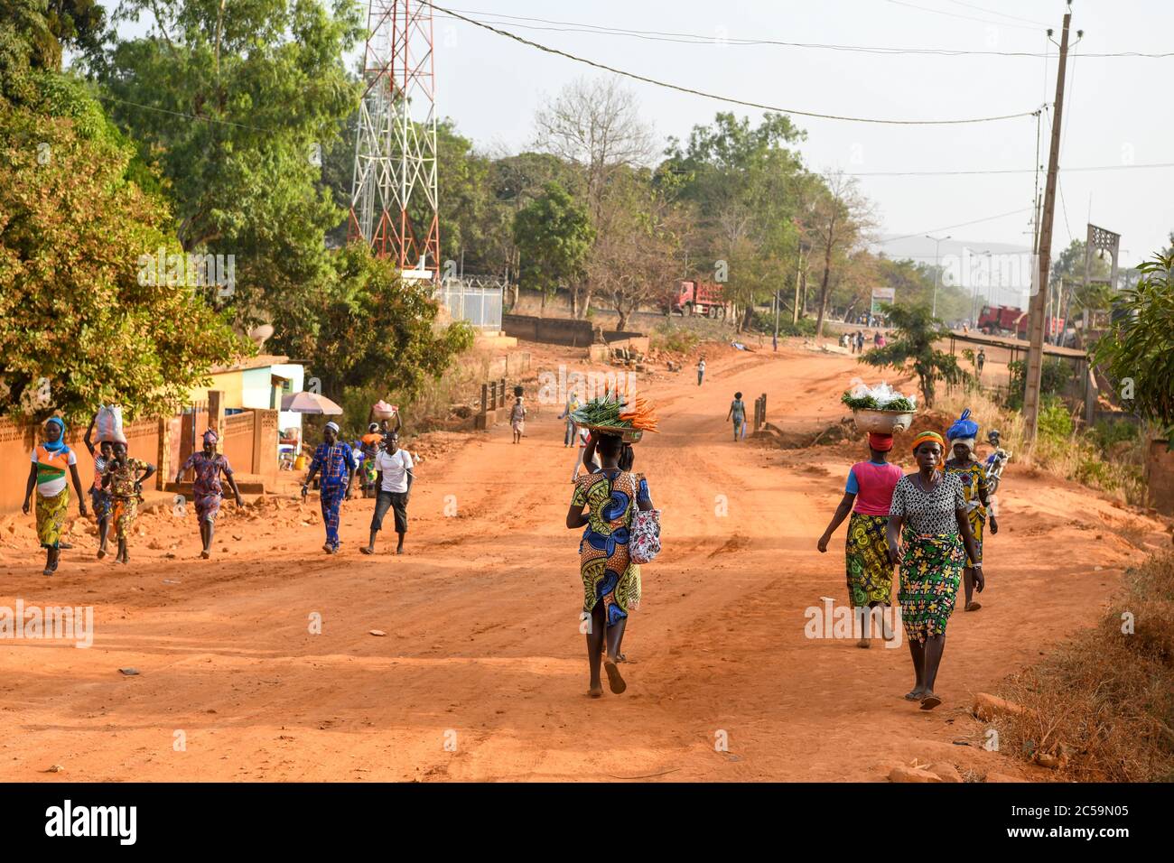 Benin africa forest hi-res stock photography and images - Alamy