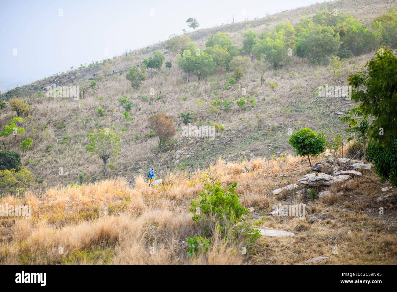 Benin forest hi-res stock photography and images - Alamy