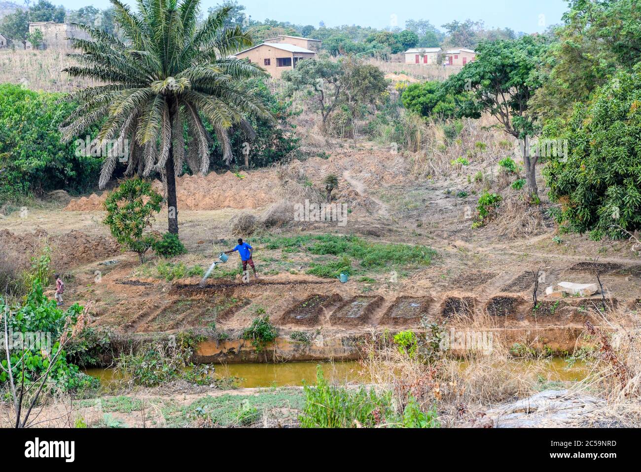 Benin forest hi-res stock photography and images - Alamy