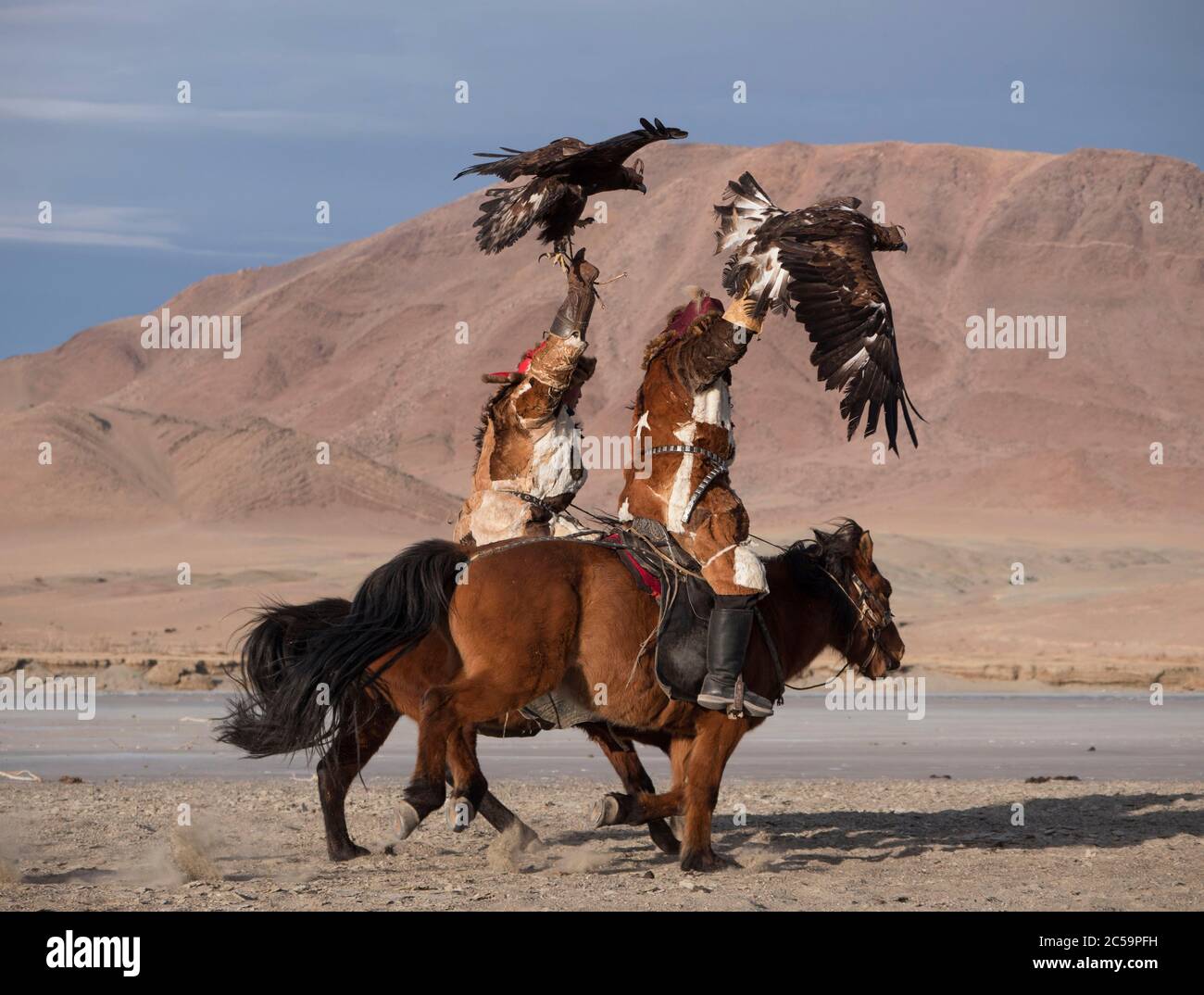 Mongolia, Altaï, two eagle hunters horseriding with their royal eagles ...