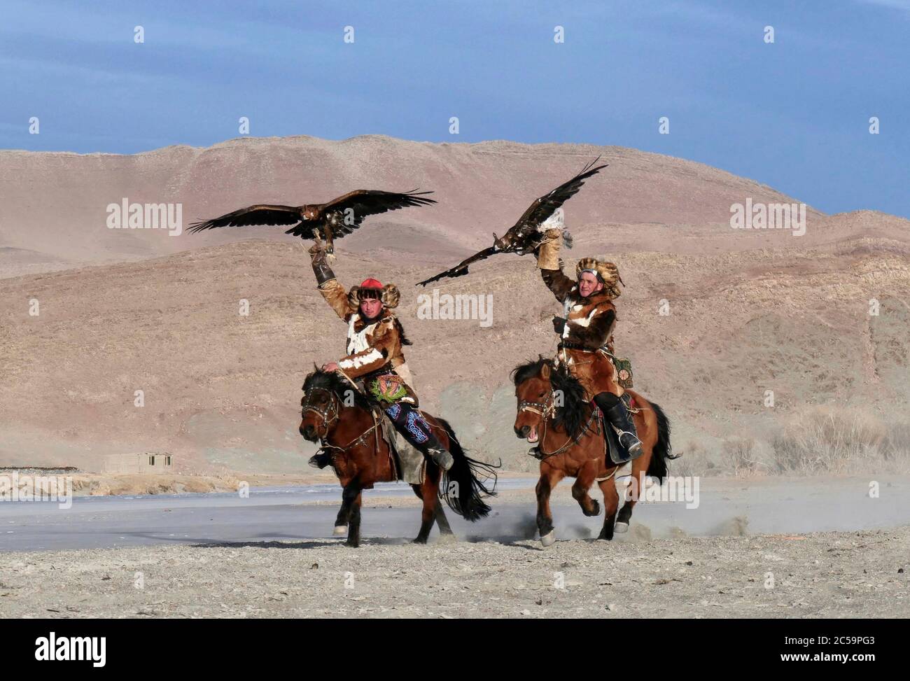Mongolia, Altaï, two eagle hunters horseriding with their royal eagles ...