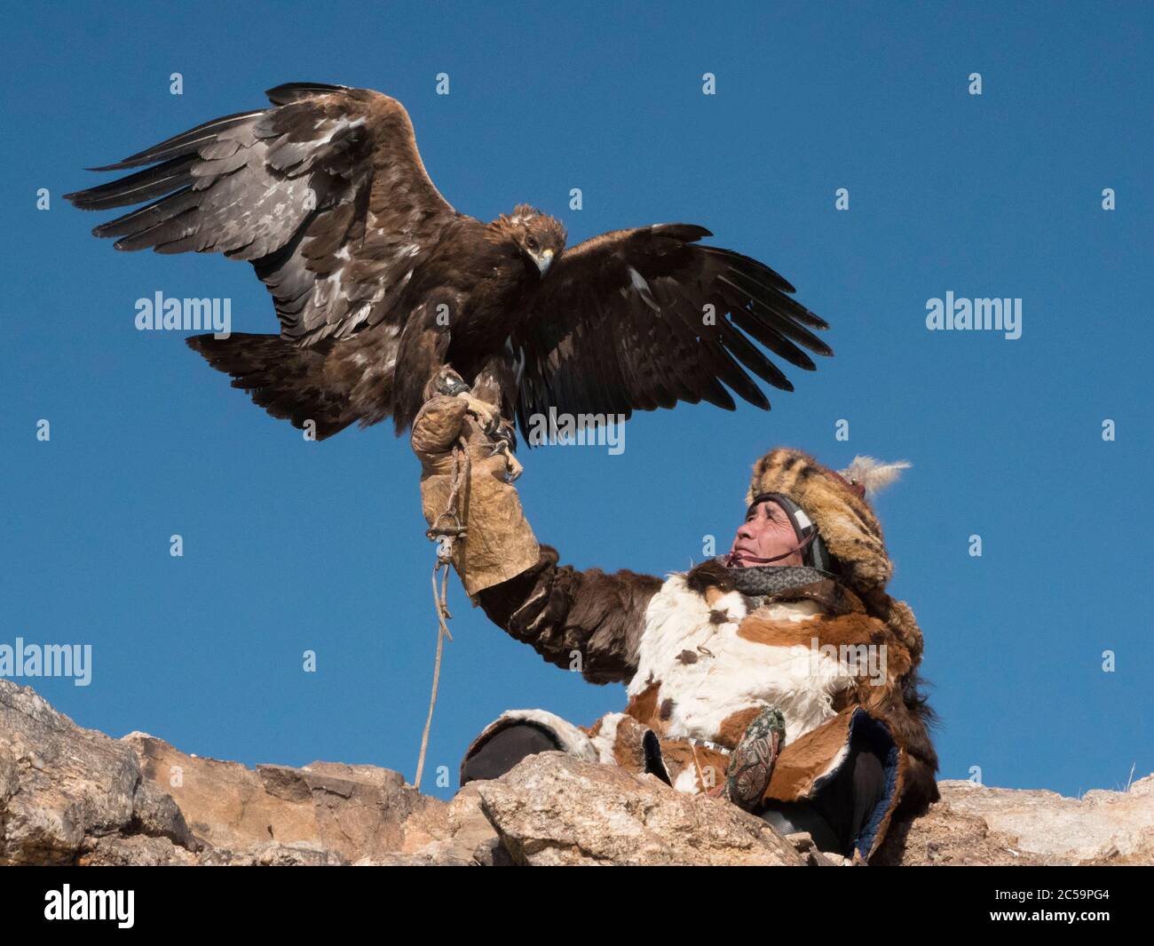 Mongolia, Altaï, eagle hunter whith his royal eagle on a mountain top ...