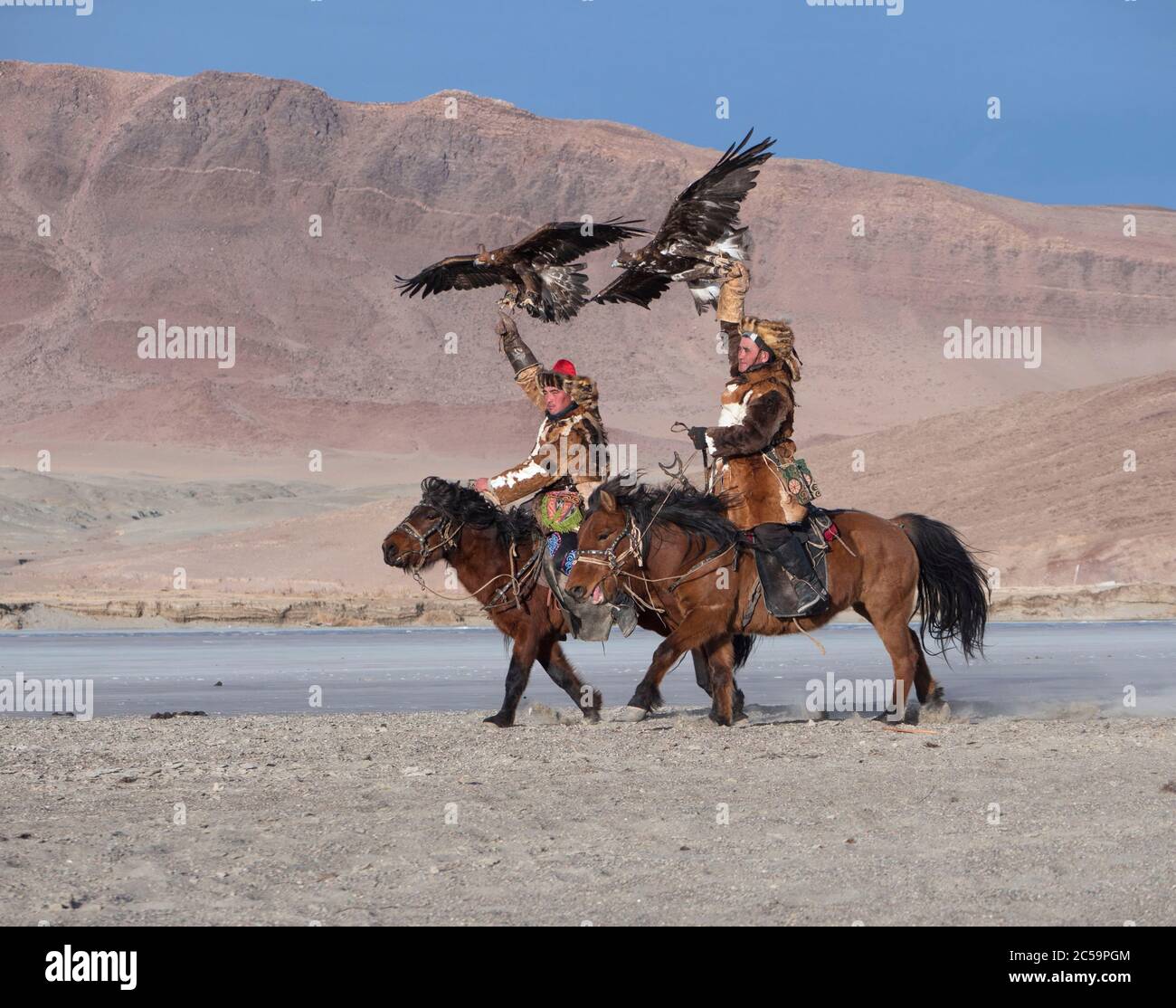 Mongolia, Altaï, two eagle hunters horseriding with their royal eagles ...