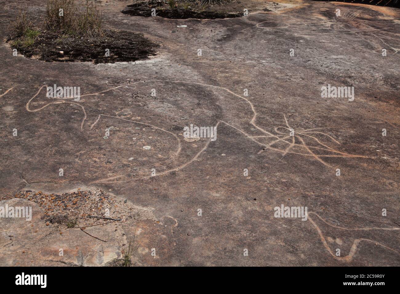 Aboriginal Ancient Rock Carvings Bundeena Australia Stock Photo - Alamy