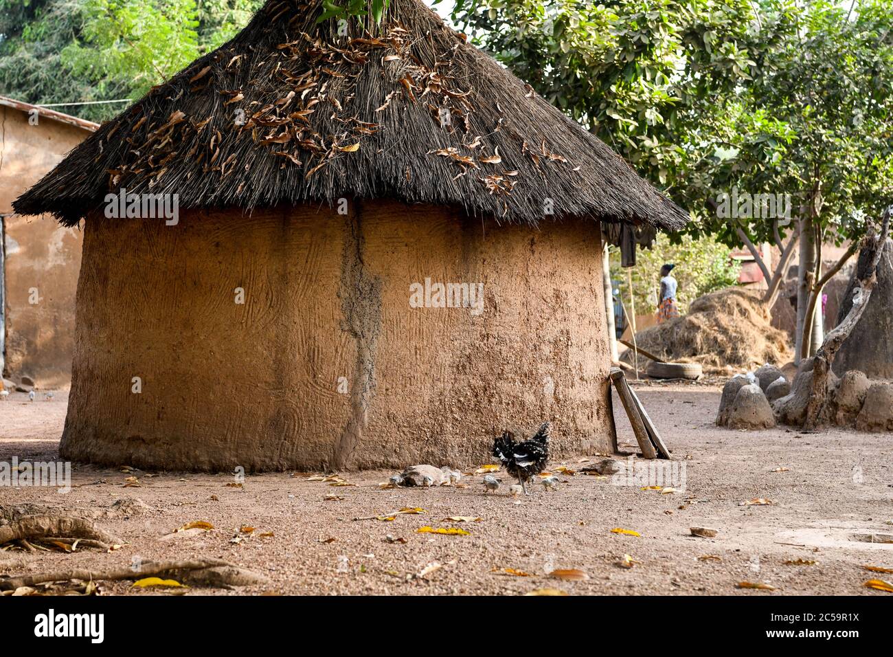 Africa, West Africa, Benin, Natitinqou. Traditional beninese house with ...