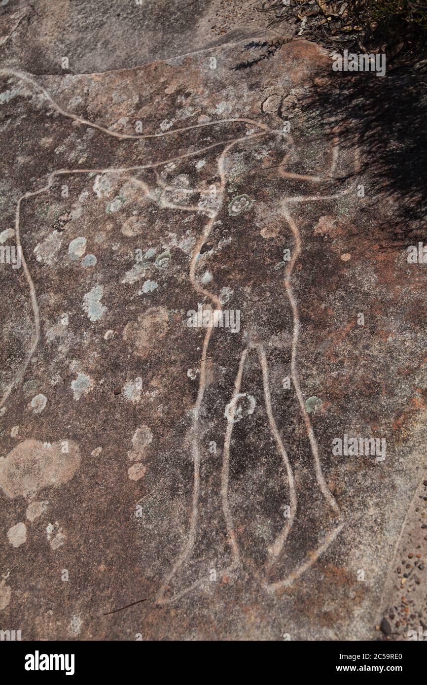 Aboriginal Ancient Rock Carvings Bundeena Australia Stock Photo - Alamy
