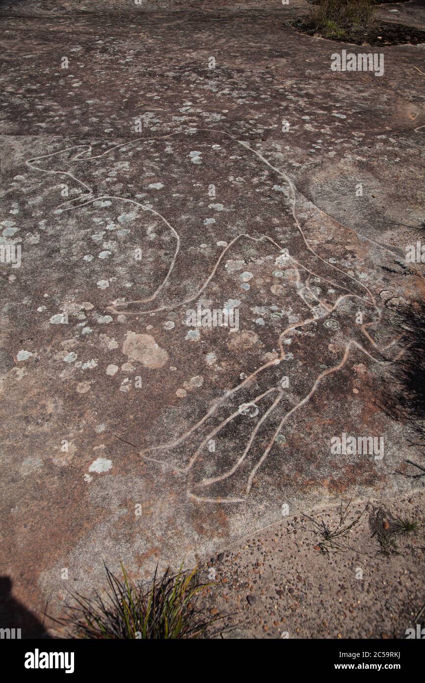 Ancient aboriginal rock art carvings hi-res stock photography and ...
