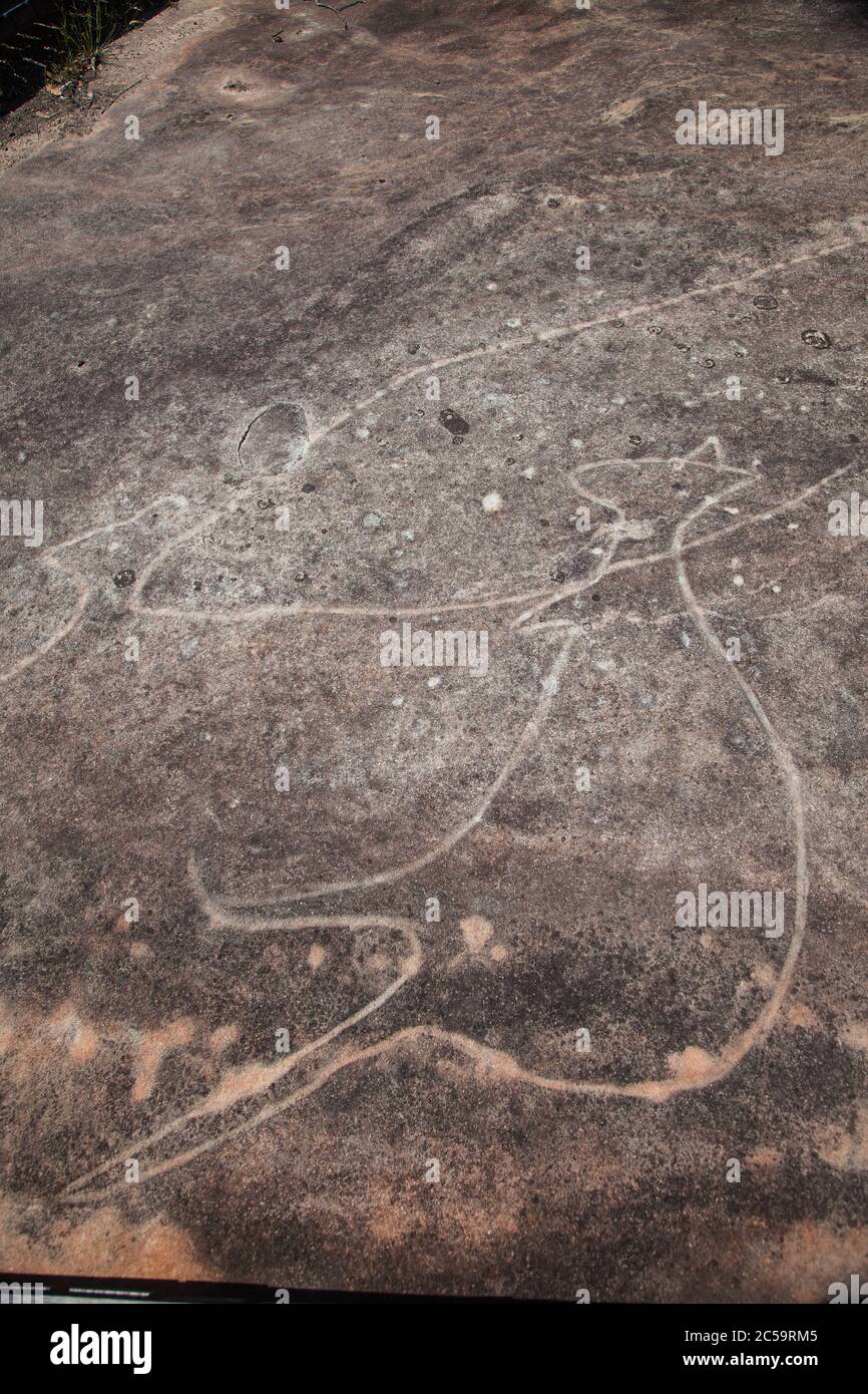 Ancient aboriginal rock art carvings hi-res stock photography and ...