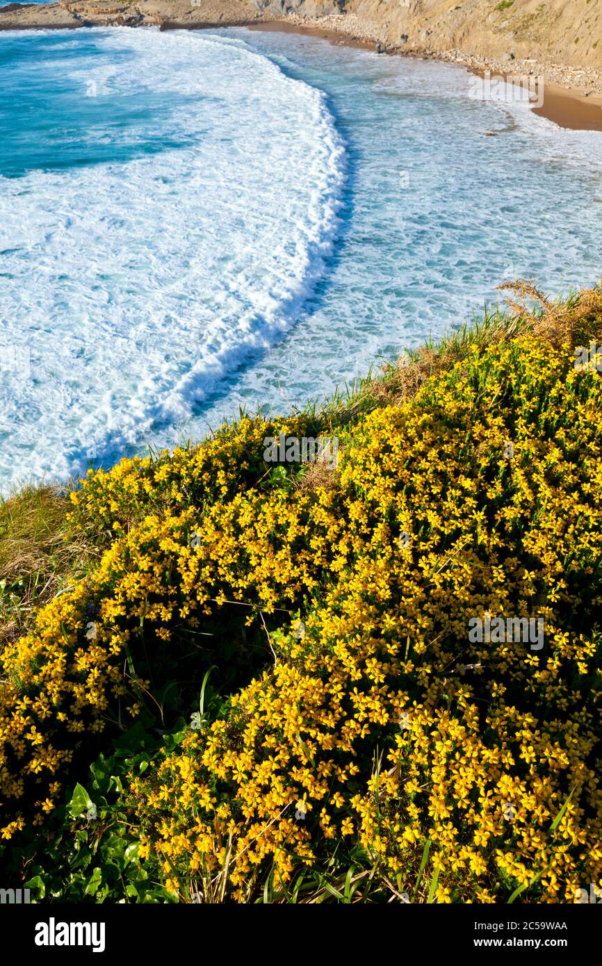 Los Caballos beach, Miengo, Cantabria, Bay of Byscay, Spain, Europe ...