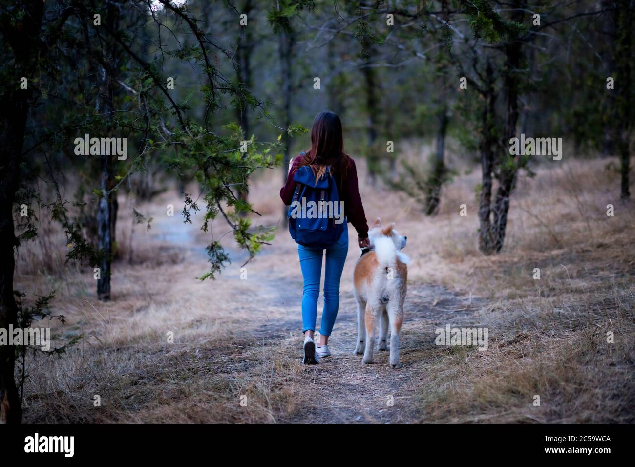 young girl in the forest with her dog Stock Photo - Alamy