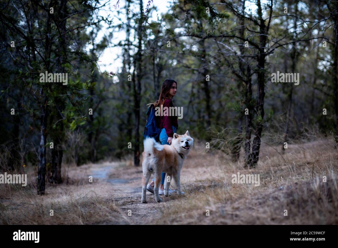 young girl in the forest with her dog Stock Photo - Alamy