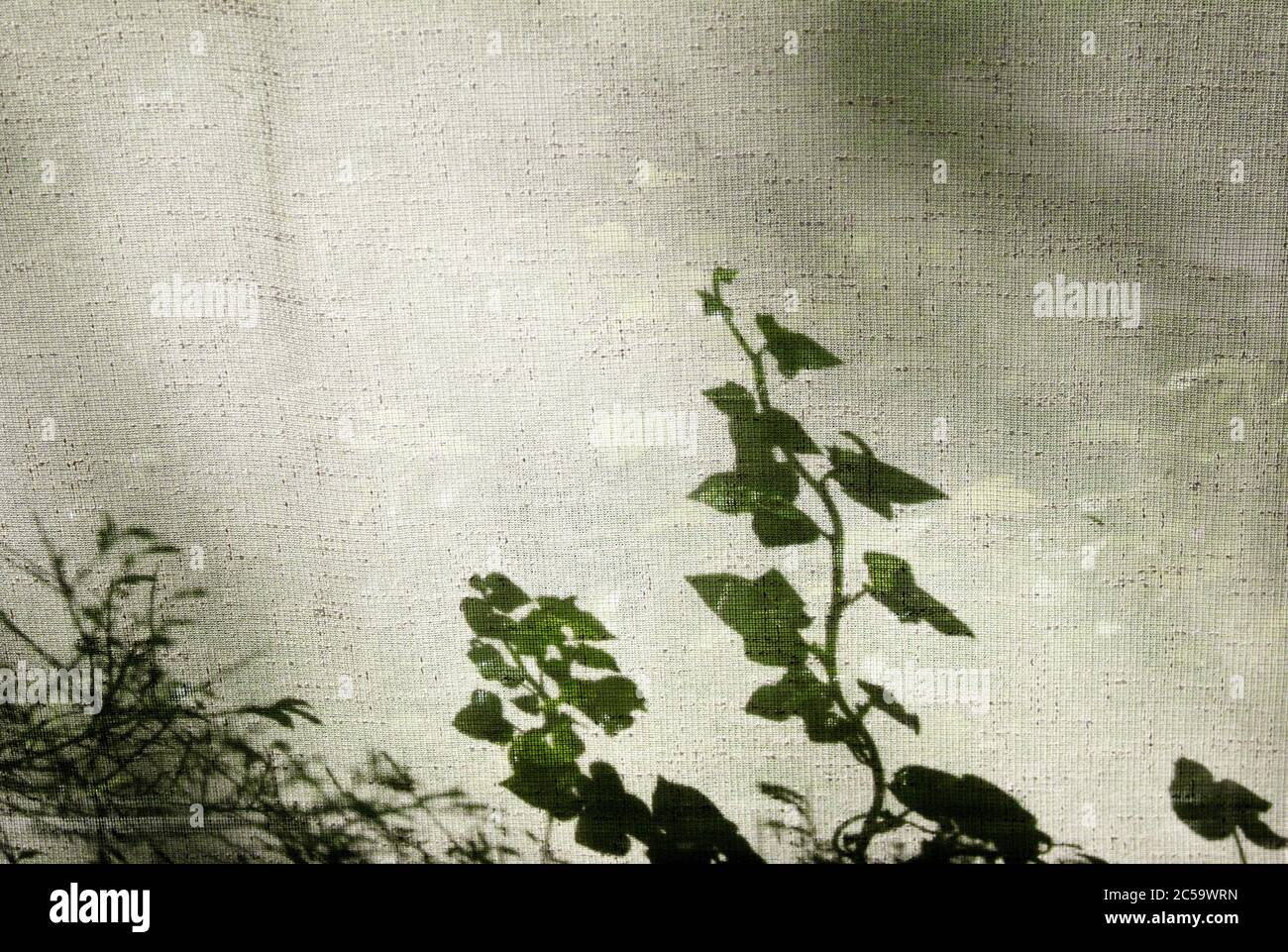 Creeping shadow hi-res stock photography and images - Alamy