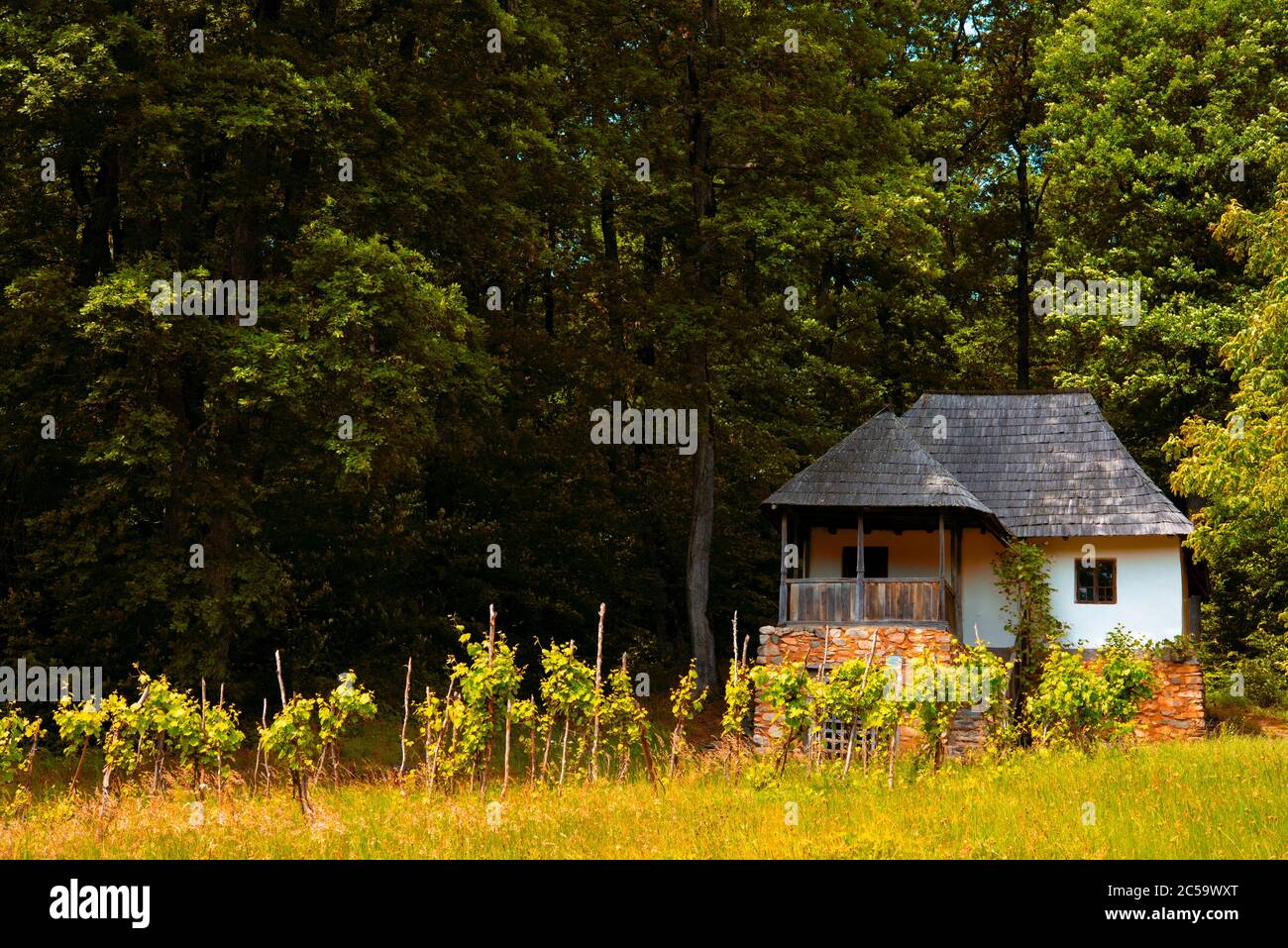 traditional house made of straw and clay Stock Photo - Alamy